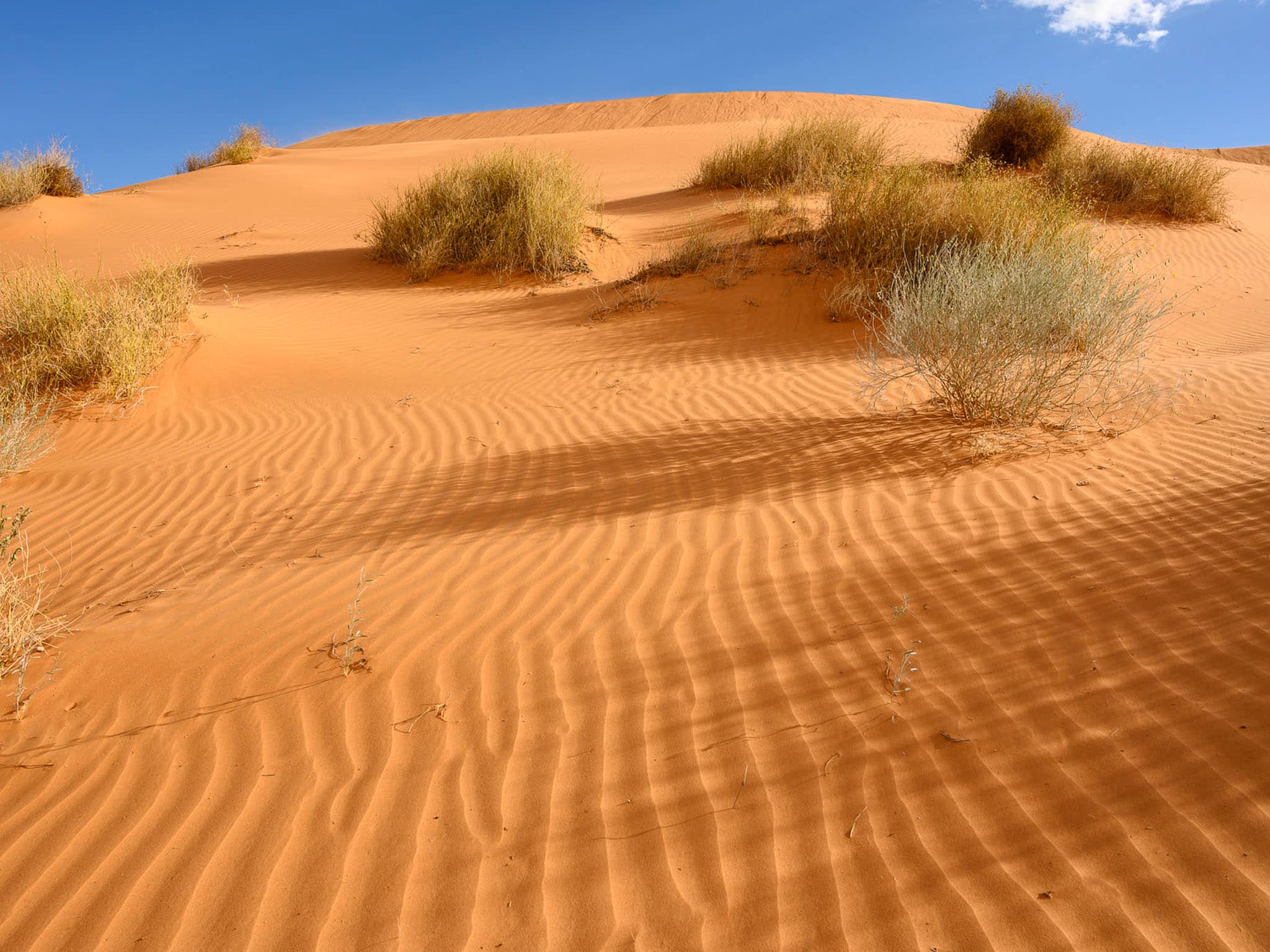 Index - Birdsville Bakery